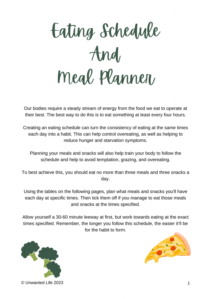 Eating Schedule And Meal Planner | Unwanted Life Shop