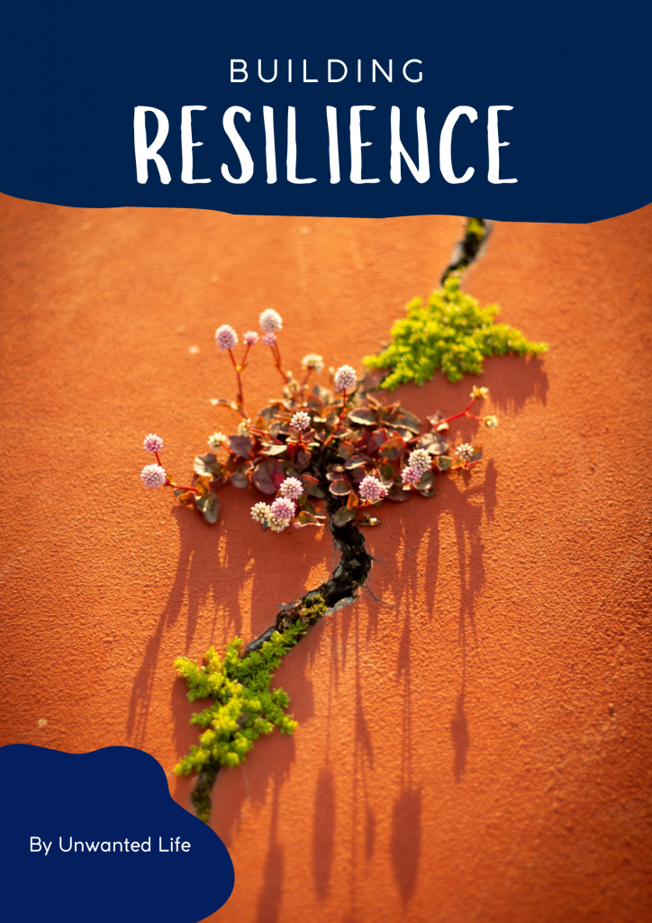 Building Resilience | Unwanted Life Shop